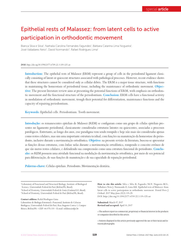 Epithelial Rests of Malassez: From Latent Cells To Active Participation in Orthodontic Movement ...