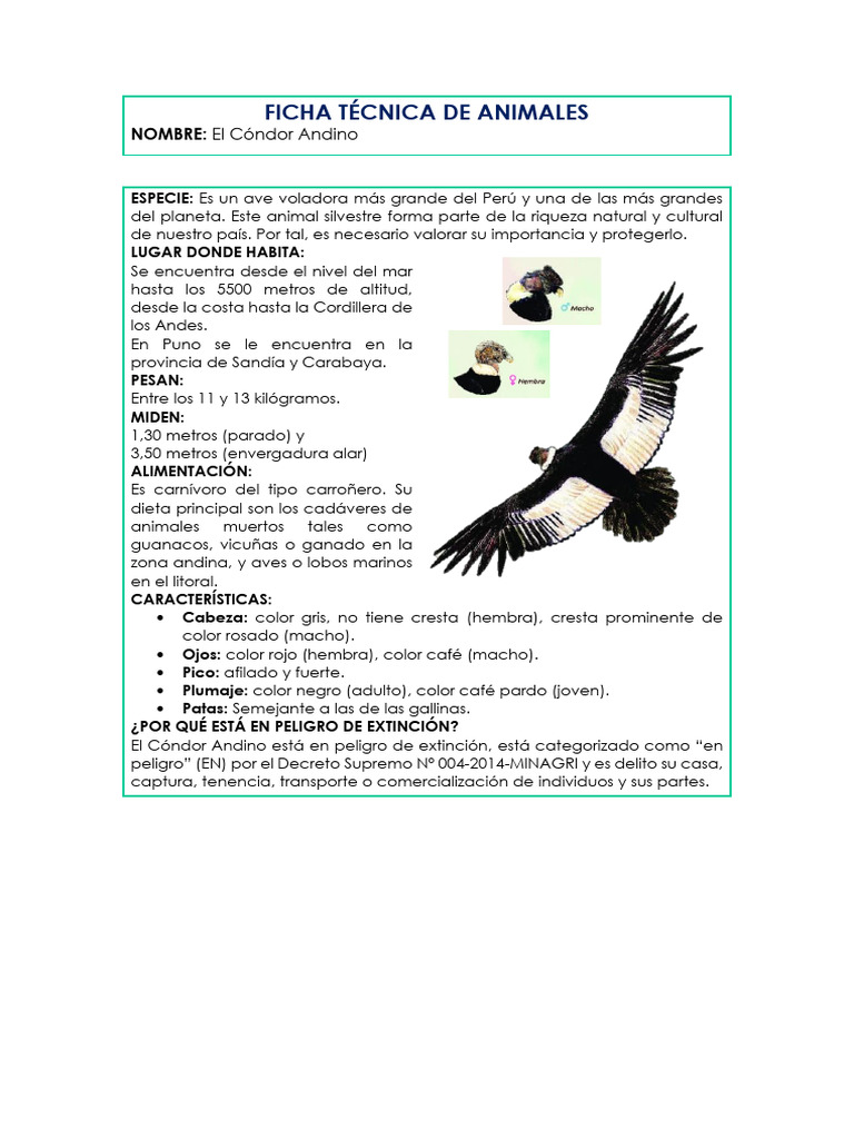 Ficha Técnica de Animales | PDF