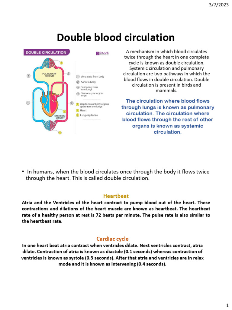 Double blood circulation | PDF | Heart | Diastole