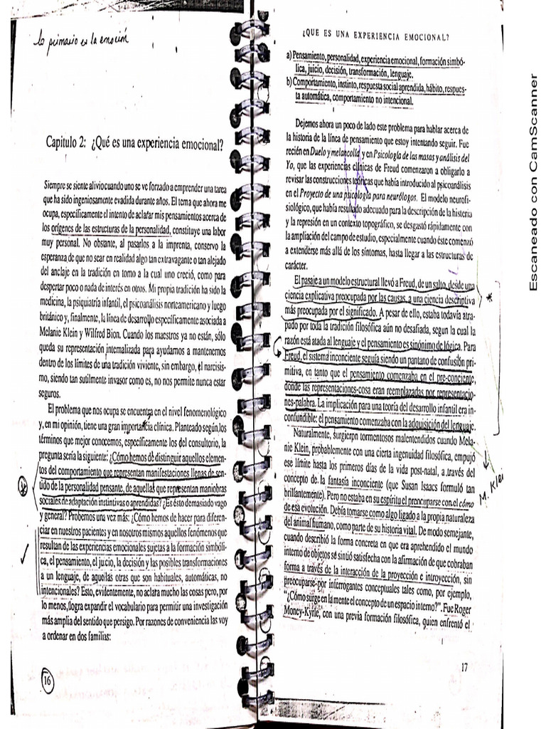 Qué Es Una Experiencia Emocional Pdf