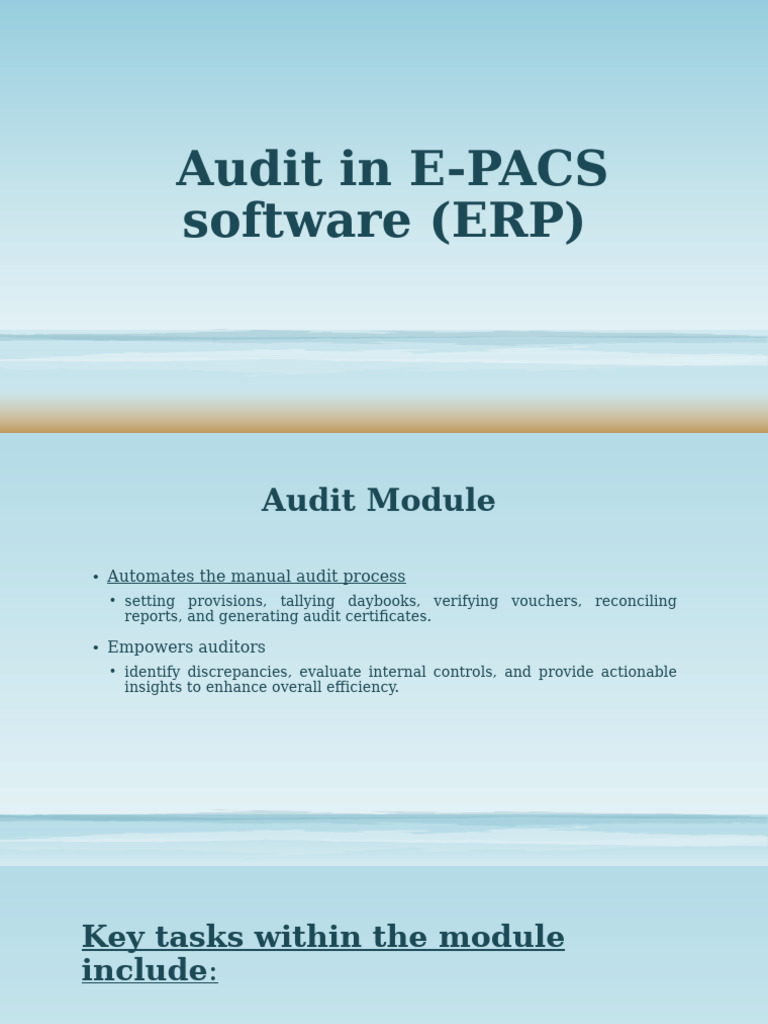 Audit in E-PACS Software (ERP) - 12-08-24 | PDF | Audit | Bookkeeping