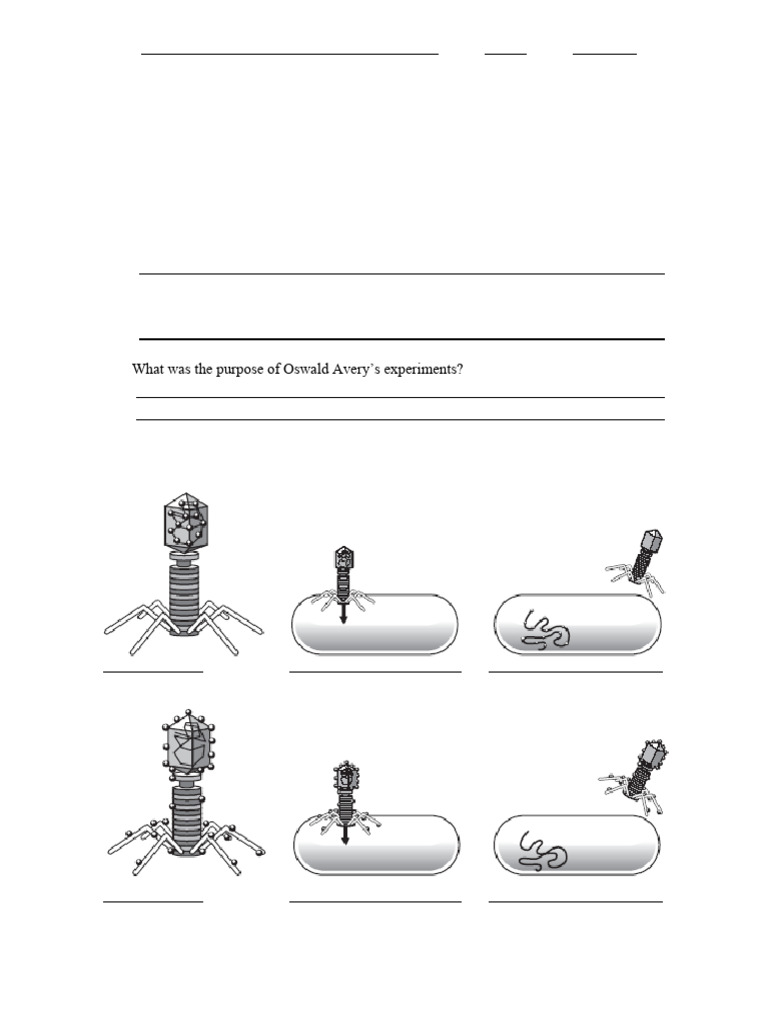 2.1 Identifying the Substance of Genes | PDF | Dna | Dna Replication