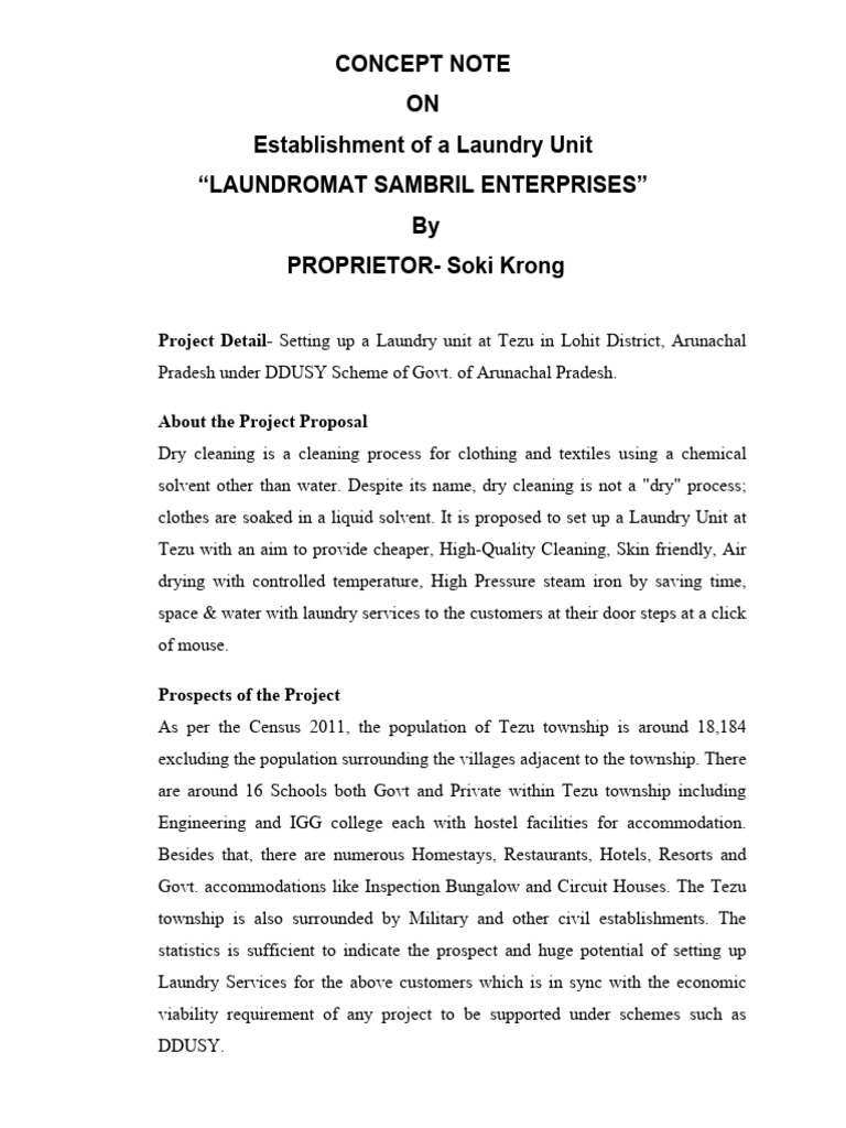 Concept Note of Laundry Unit-1-1 | PDF | Laundry | Economies