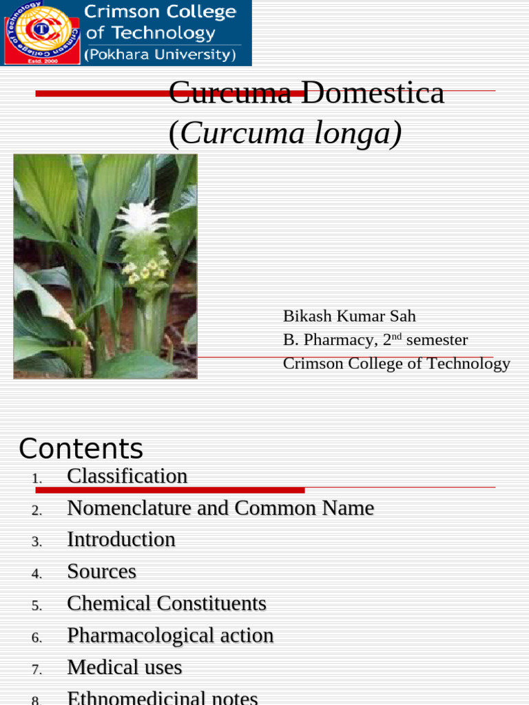 Turmeric Domestica1 | PDF | Turmeric