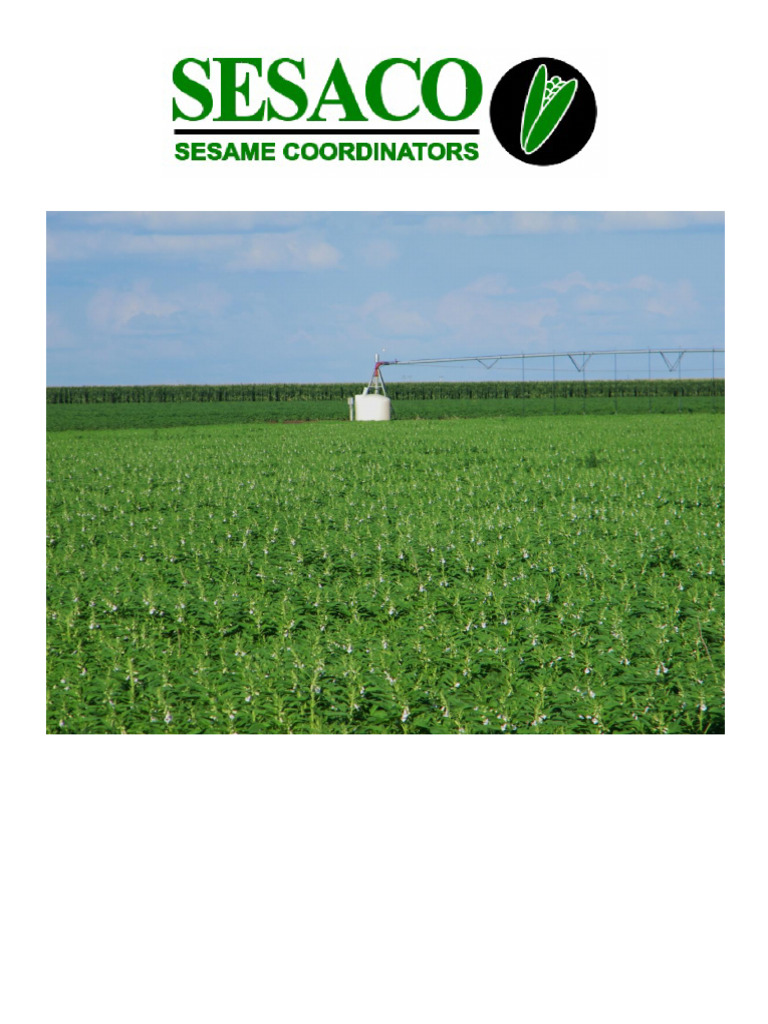 Sesame Farming Producer Guide 2012 | PDF | Crop Rotation | Sesame