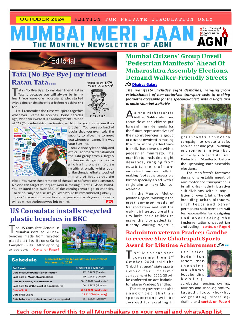 MMJ October 2024 | PDF