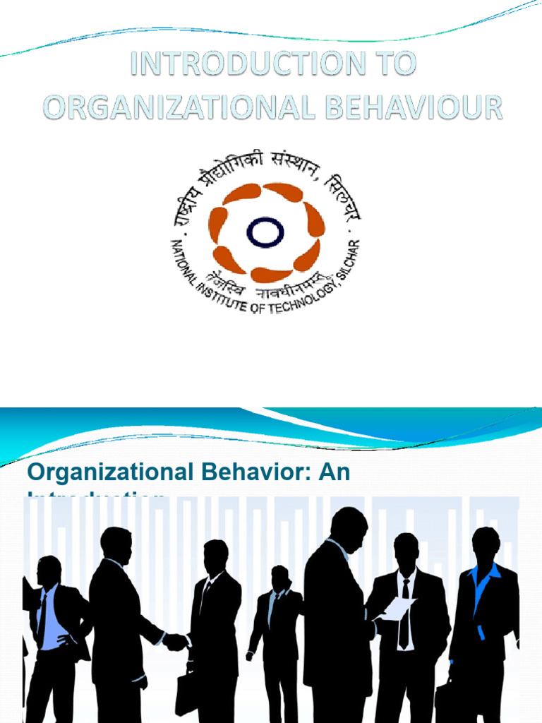Introduction To Organizational Behaviour | PDF | Behavior ...