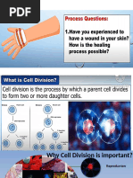 BioMan Biology 2 | PDF | Mitosis | Cell (Biology)