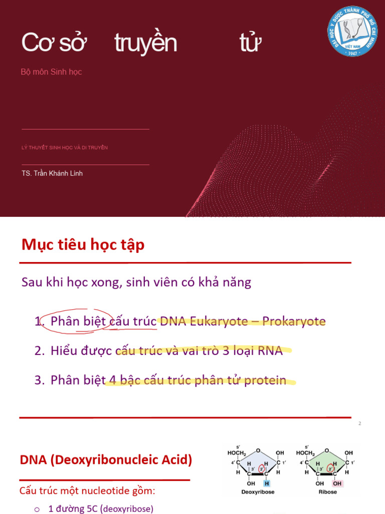CNCQ.PHR.CSPT (2t) .LINH - đã chỉnh sửa | PDF