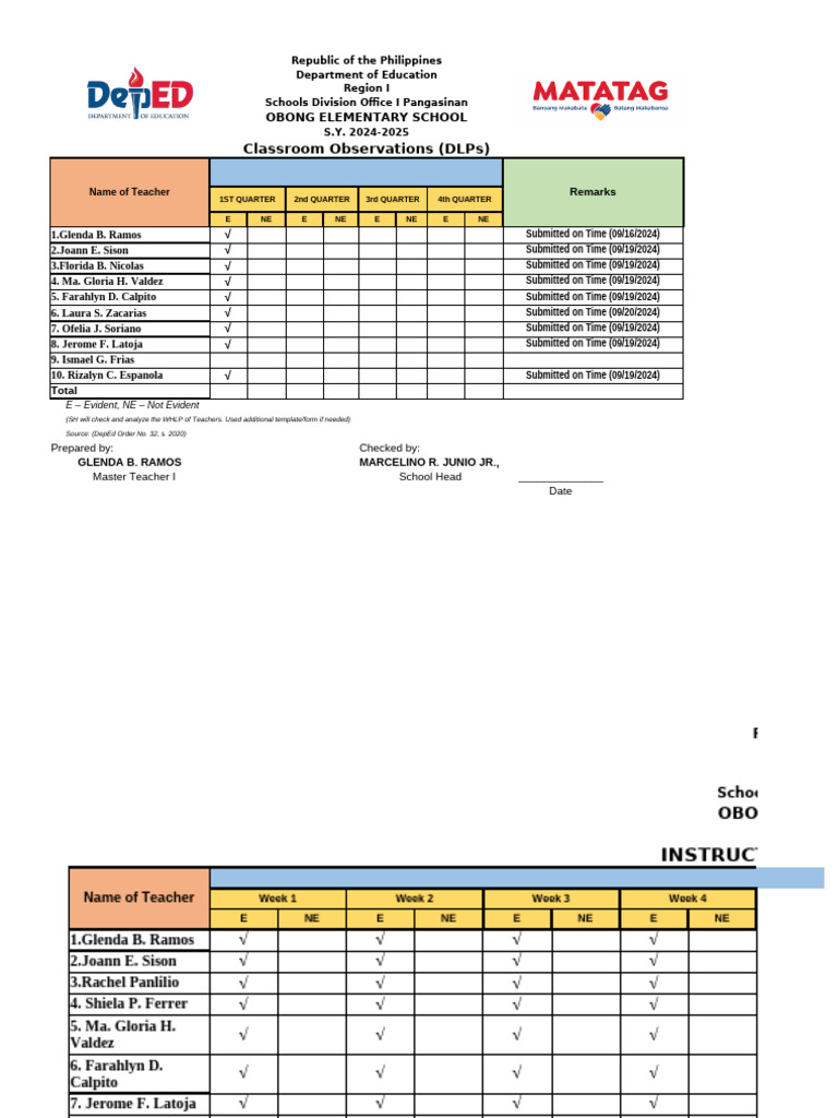 Monitoring Tool - CO DLPs - Intermediate Group | PDF