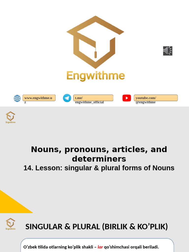 Singular and Plural Forms of Nouns | PDF | Language Arts & Discipline