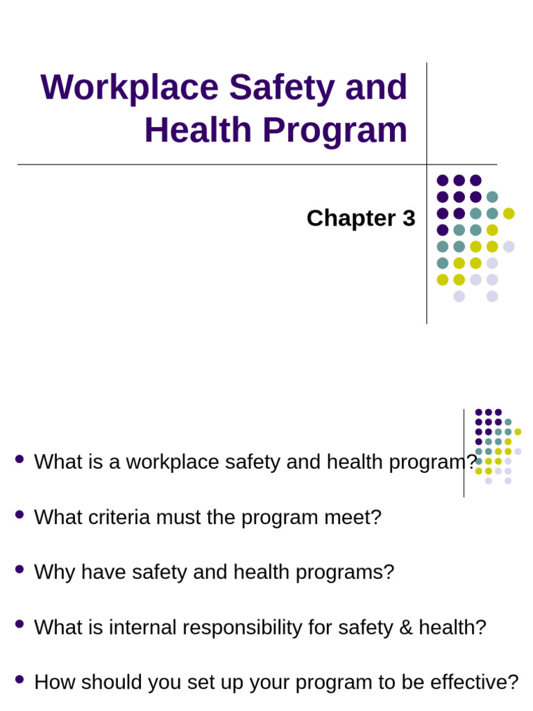 Workplace Safety and Health Program Guide | PDF | Occupational Safety And Health | Employment