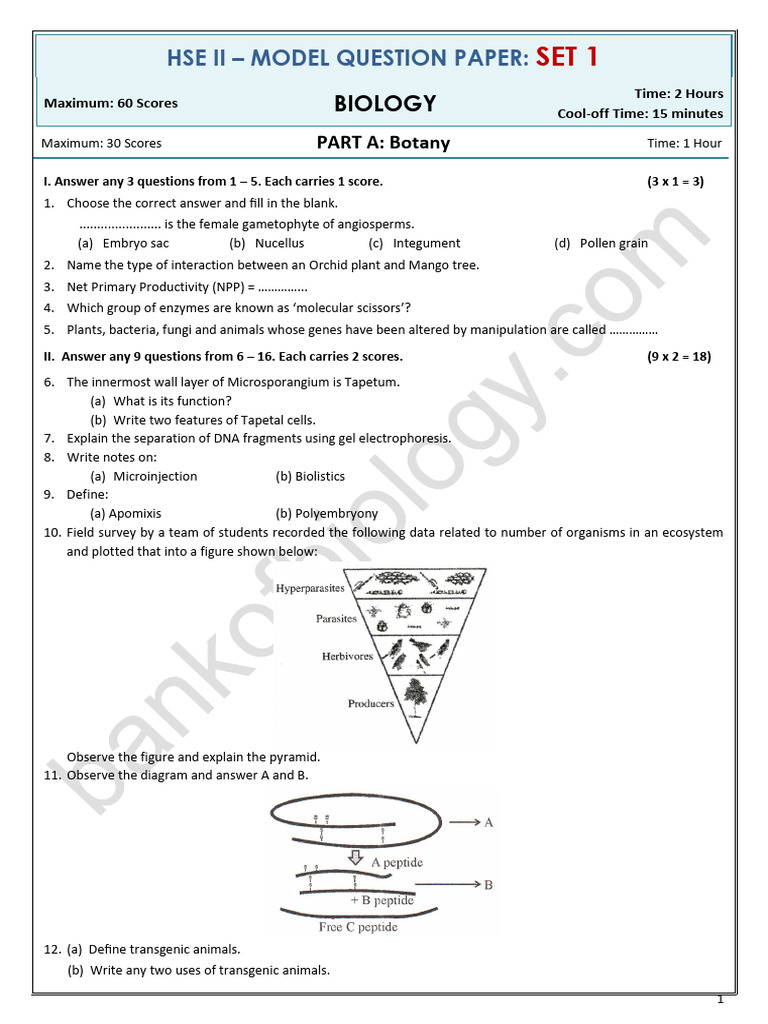 HSE II Biology Model Question Paper Set 1 | PDF | Molecular Cloning ...