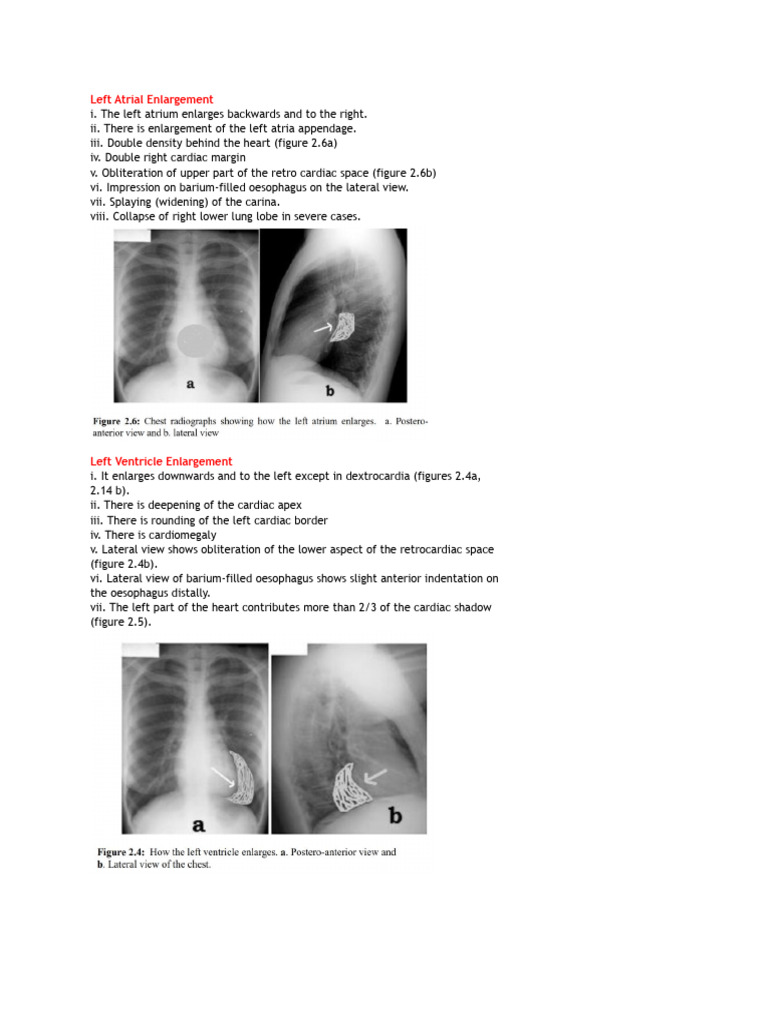 x ray card | PDF