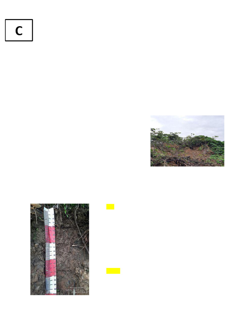 Maulida Zakiatul Misqi - 079 - Tugas Terstruktur Tutorial Stela M4 | PDF