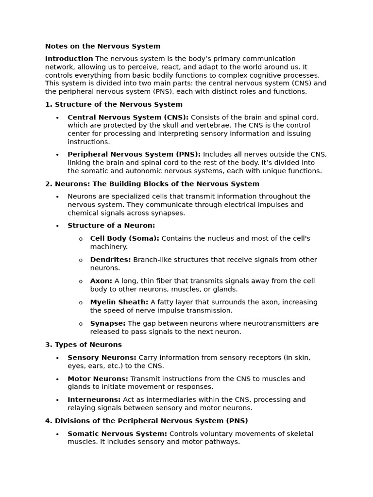 Notes On The Nervous System | PDF | Nervous System | Central Nervous System