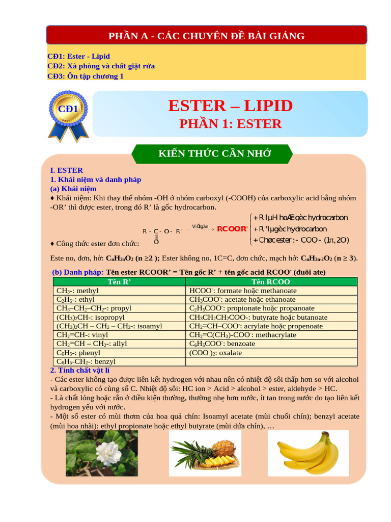2024 - 2025. 12.1 Ester - Lipid (1) | PDF