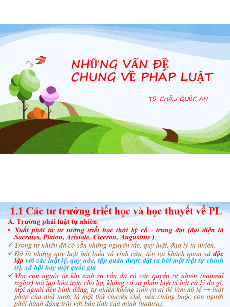 Chuong 2 - Nhung Van de Co Ban Ve Phap Luat | PDF