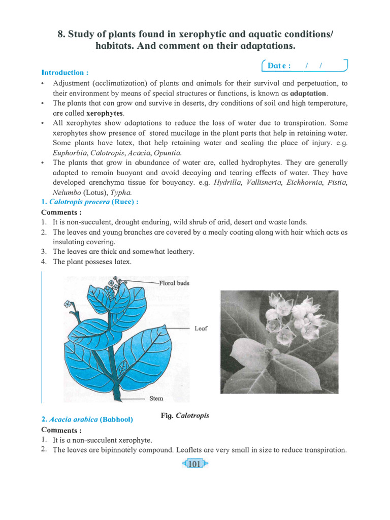 Study of Plants Found in Xerophytic and Aquatic Conditions/ Habitats ...