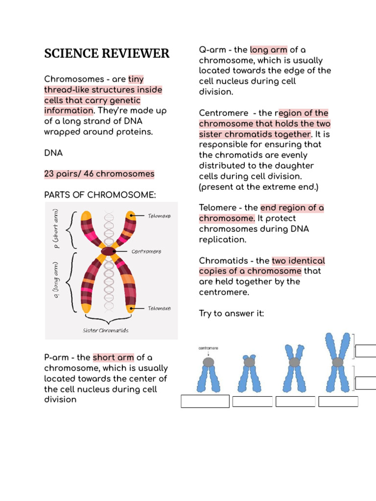 SCIENCE REVIEWER - Google Docs | PDF