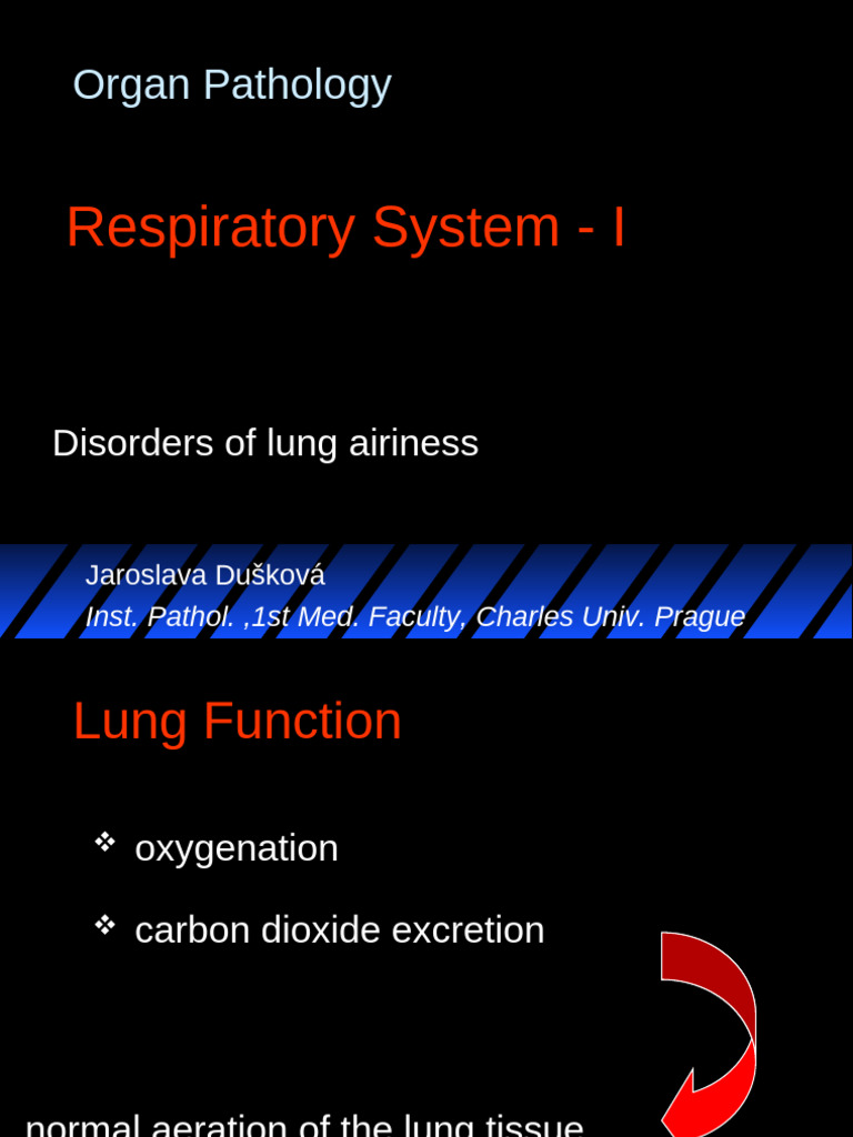 Lung Pathology: Disorders and Conditions | PDF | Chronic Obstructive ...
