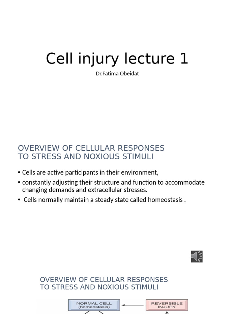 Cell Injury Lecture 1 Mod | PDF | Anatomy | Medical Specialties