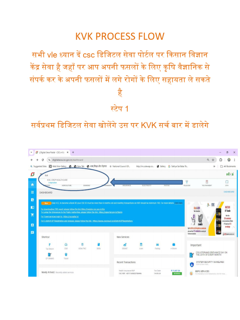 KVK Process Flow | PDF