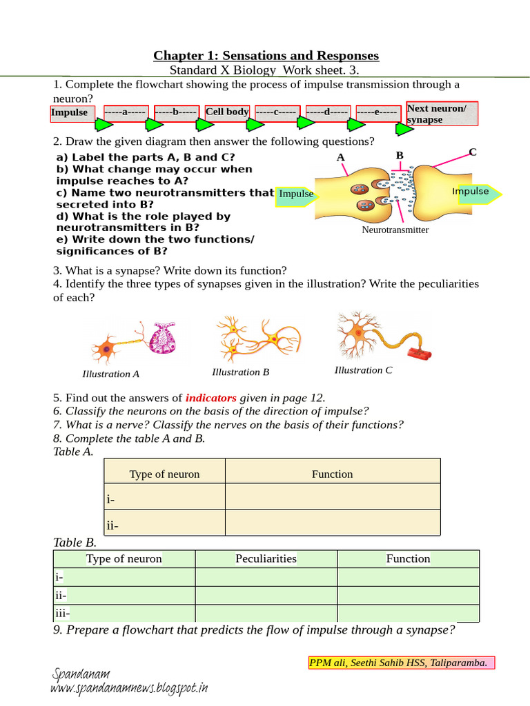 STD X-Biology Worksheet. 3 Ch-1 | PDF | Teaching Methods & Materials