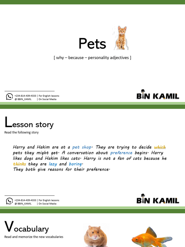 English Lesson: Pet Preferences | PDF