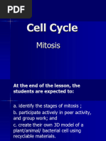 Amoeba Sisters Cell Cycle-1 | PDF | Mitosis | Chromosome