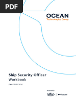 Ship Security Audit Checklist | PDF