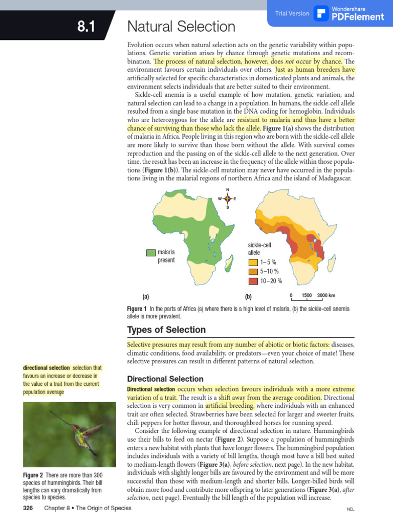 8.1 Types of Selection | PDF | Natural Selection | Evolution