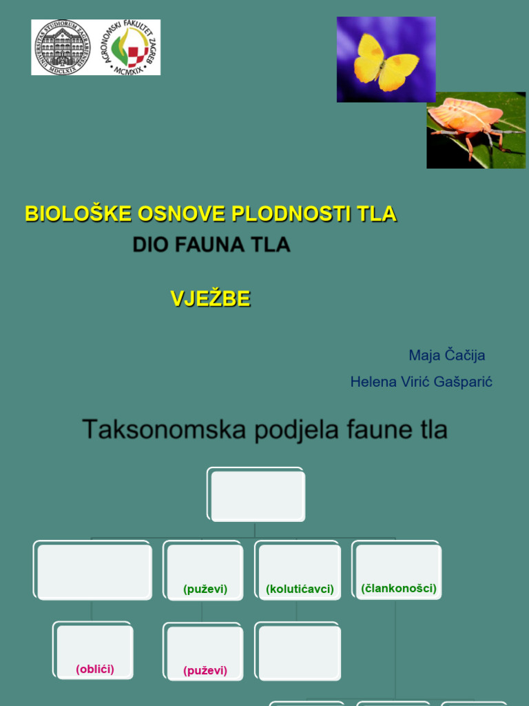 Fauna Tla_2. Vjezba_Kukci i Uzorkovanje_22_23 (1) | PDF