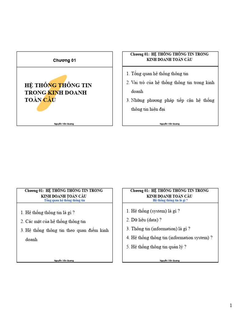 CHG 01 - HTTT Trong Kinh Doanh Toan Cau (Compatibility Mode) | PDF