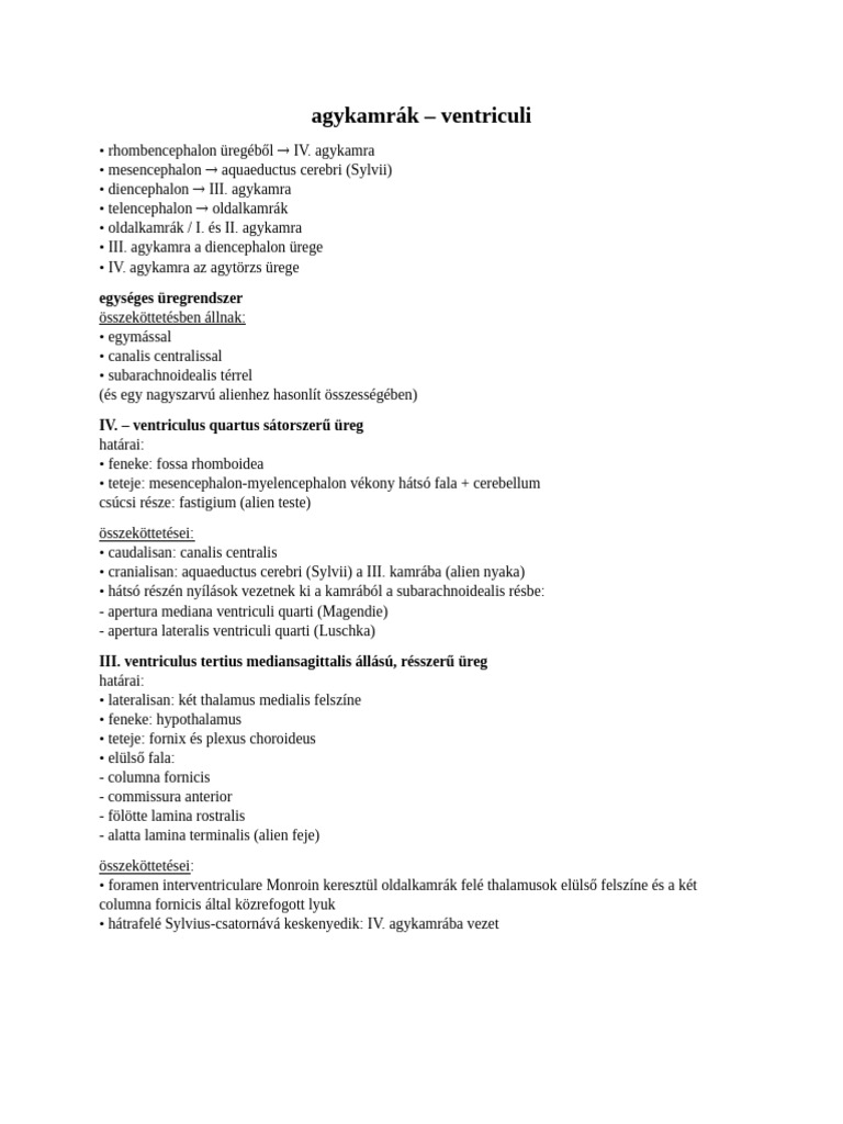 Agykamrák | PDF