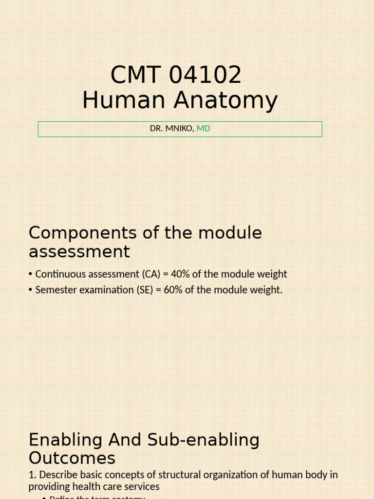 CMT 04102 Human Anatomy | PDF | Abdomen | Human Body