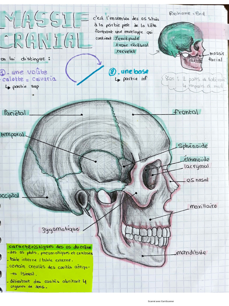 Résumé Reihane - BND | PDF