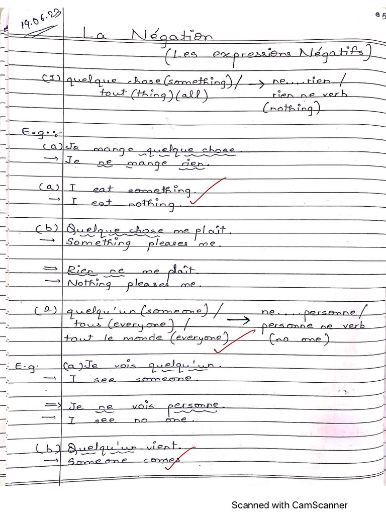 La Négation ( Negative Expressions ) | PDF