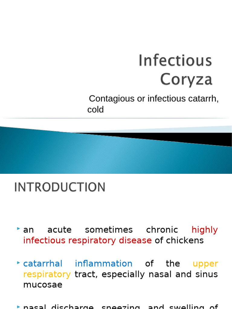 Infectious Coryza | PDF