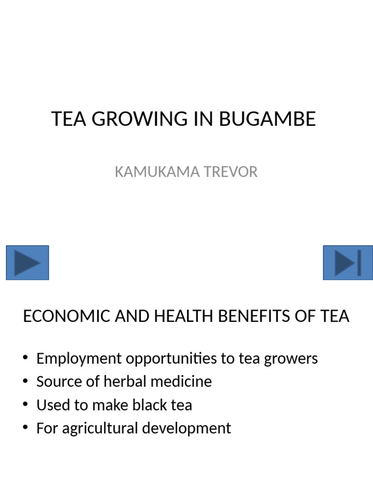 Kamukama Trevor 099 | PDF | Wellness | Cooking, Food & Wine