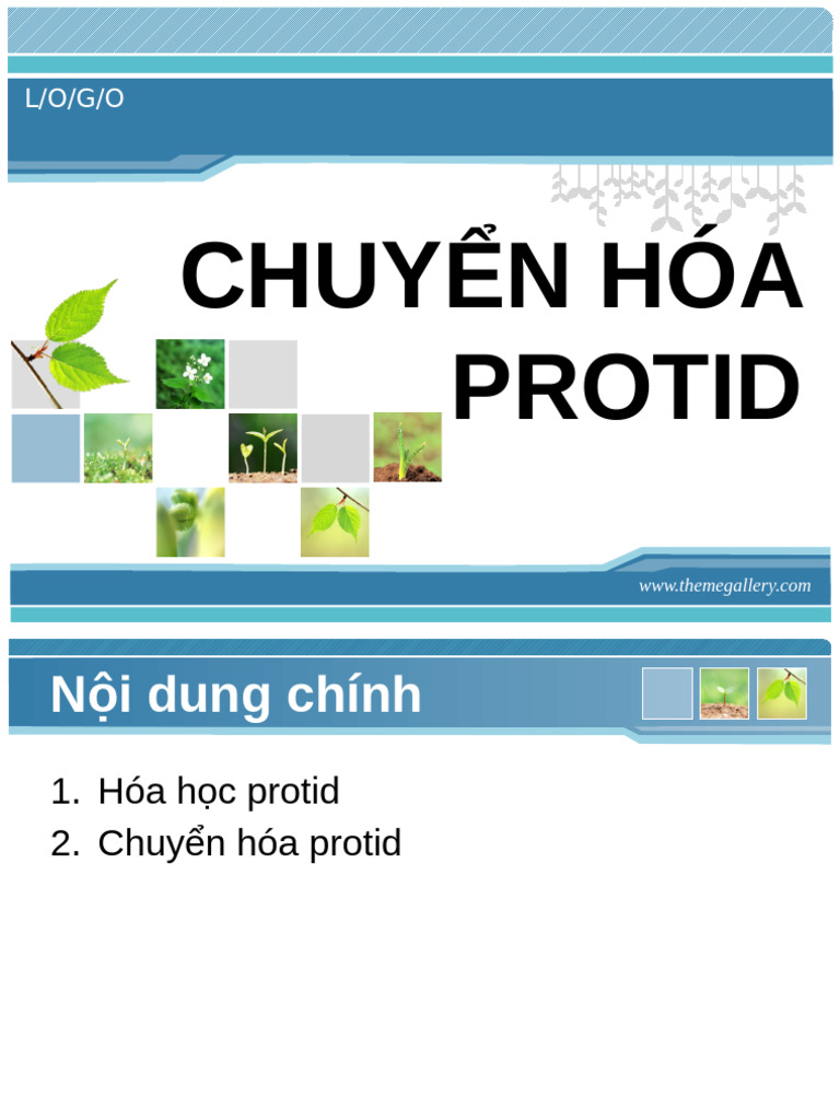 Chuyen Hoa Protid Duoc 6 | PDF
