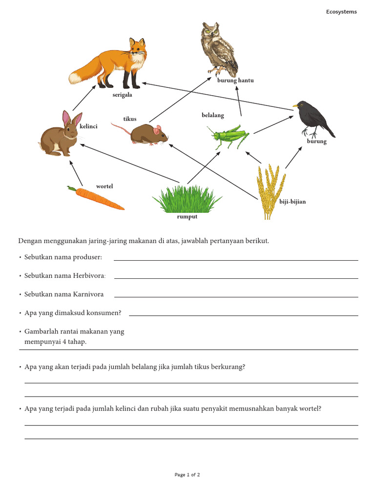 LKPD Jaring-Jaring Makanan | PDF