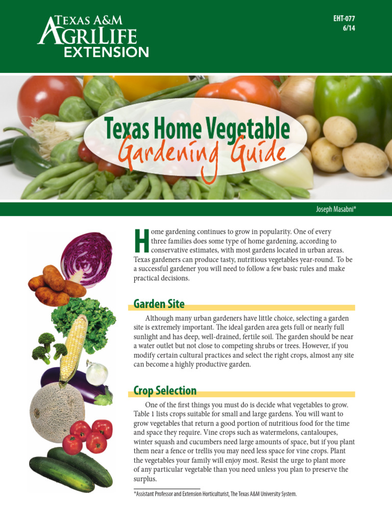 Texas Home Vegetable Gardening Guide | PDF | Mulch | Vegetables