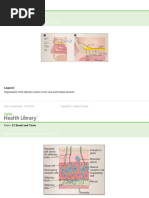 Prehn Sign | PDF | Sexual Anatomy | Male Genital Disorders