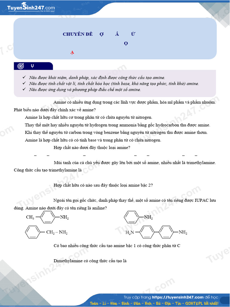 De Thi BTVN Amine 1719816134 | PDF