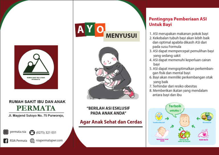 Leaflet Menyusui Depan | PDF | Karier & Perkembangan | Kesehatan Holistik