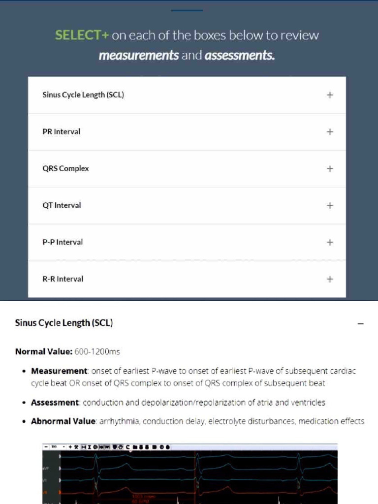 Basic Ep Measurements | PDF
