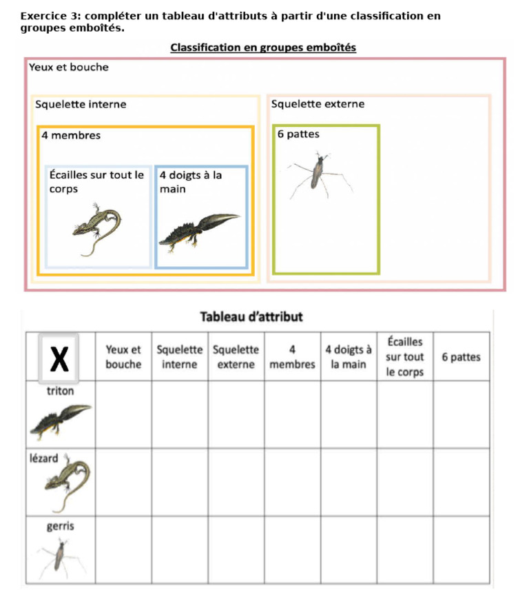 Exercices SVT 6ème : Tableau d'attributs | PDF
