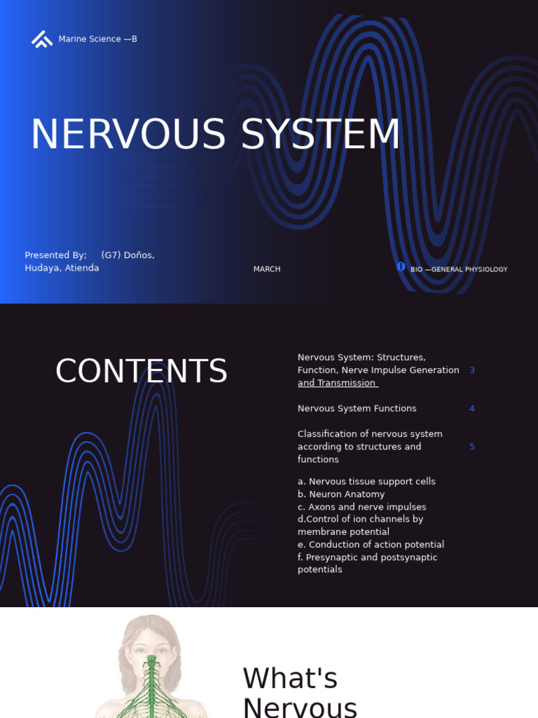 Nervous System G7 - Physiology | PDF | Action Potential | Neuron