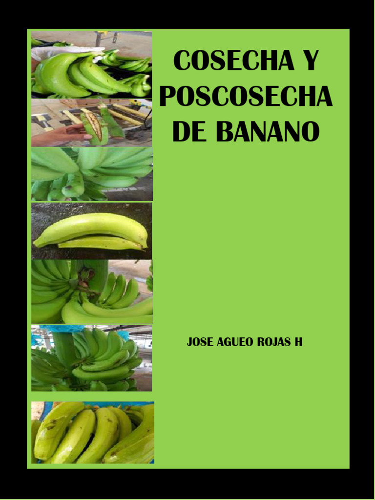 Cosecha y Poscosecha | PDF | Botánica | Plantas